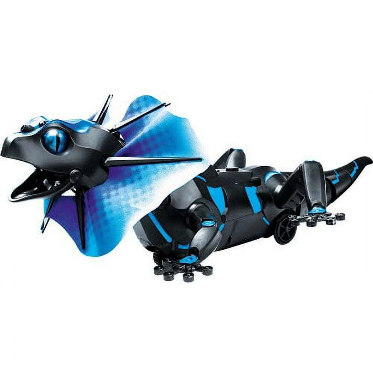 Rc Lizard | The Brain Train TT